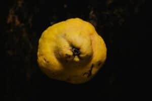 11 Frutas Con Z - Lista Y Curiosidades | Un Mundo De Letras